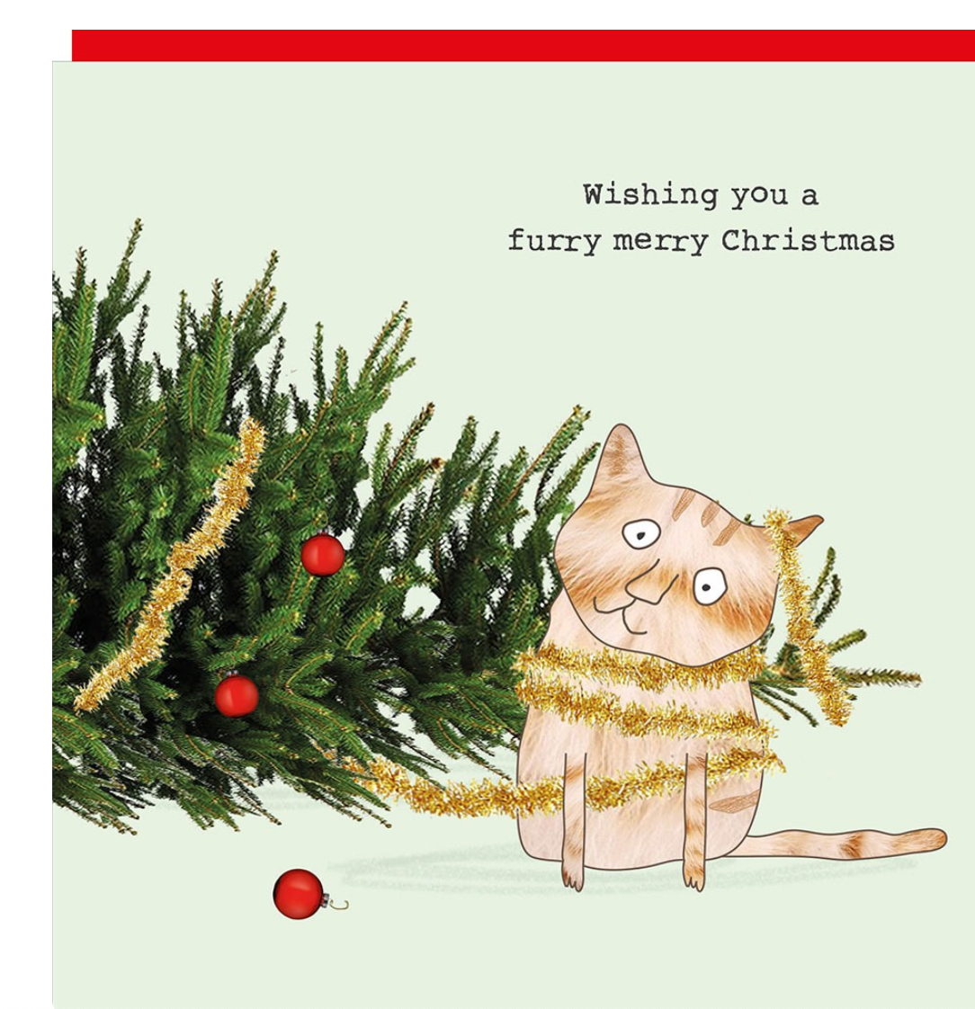 Rosie CAT FURRY – Collected Joy